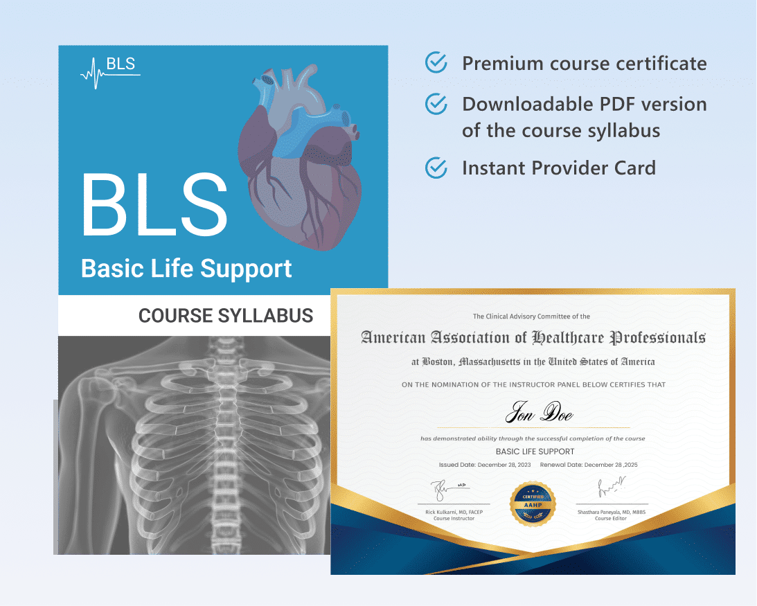 Basic Life Support (BLS) (Standard)