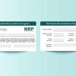 Neonatal Resuscitation Program (NRP)